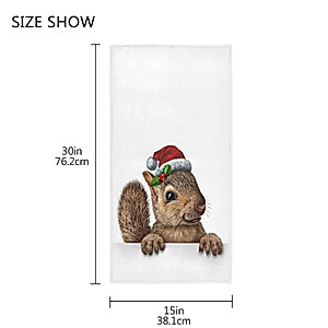 Tamniee Christmas Squirrel Hand Towels Santa Clause Hat Holly Berries Decor Kitchen Dish Towel Quality Premium Bathroom Washcloth 30 x 15 Inches for Beach Guest Hotel Spa Gym Sport Yoga Home