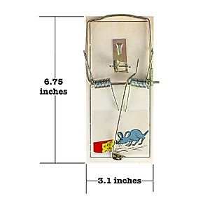 Harrier Hardware 12-Pack Rat Trap Bulk Set - Reliable Double Spring Mechanism with Sturdy Wood Base and Metal Plate for Indoor and Outdoor Quick Strong Snap