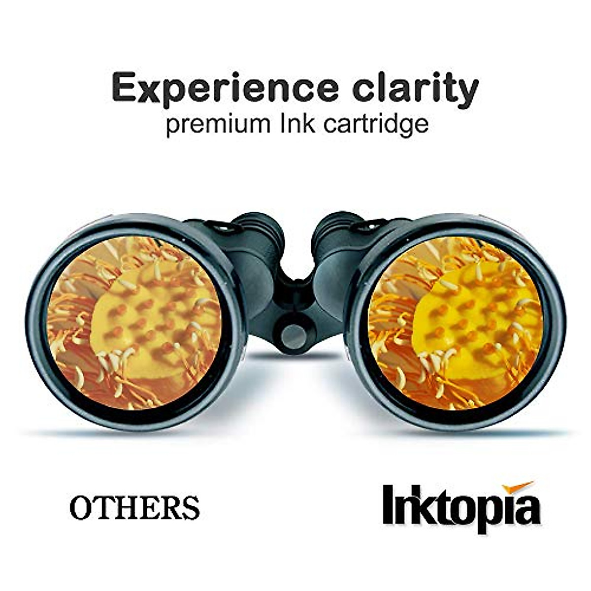 Inktopia Remanufactured Ink Cartridge Replacement for Canon 240XL PG-240XL 240 XL PG 240XL (Single Black) Used in Canon PIXMA MG2120 MG3120 MG3620 TS5120 MG3600 MX372 MX432 MX512 MX532 Printer