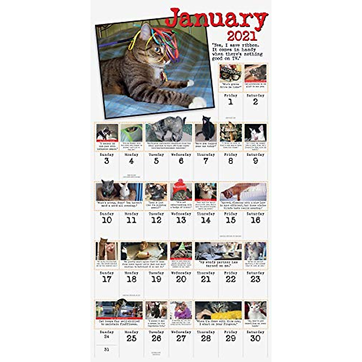 Bad Cat Wall Calendar 2021