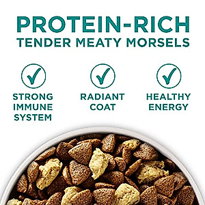 Purina One Plus Digestive Health Formula Dry Dog Food Natural with Added Vitamins, Minerals and Nutrients - 16.5 Lb. Bag