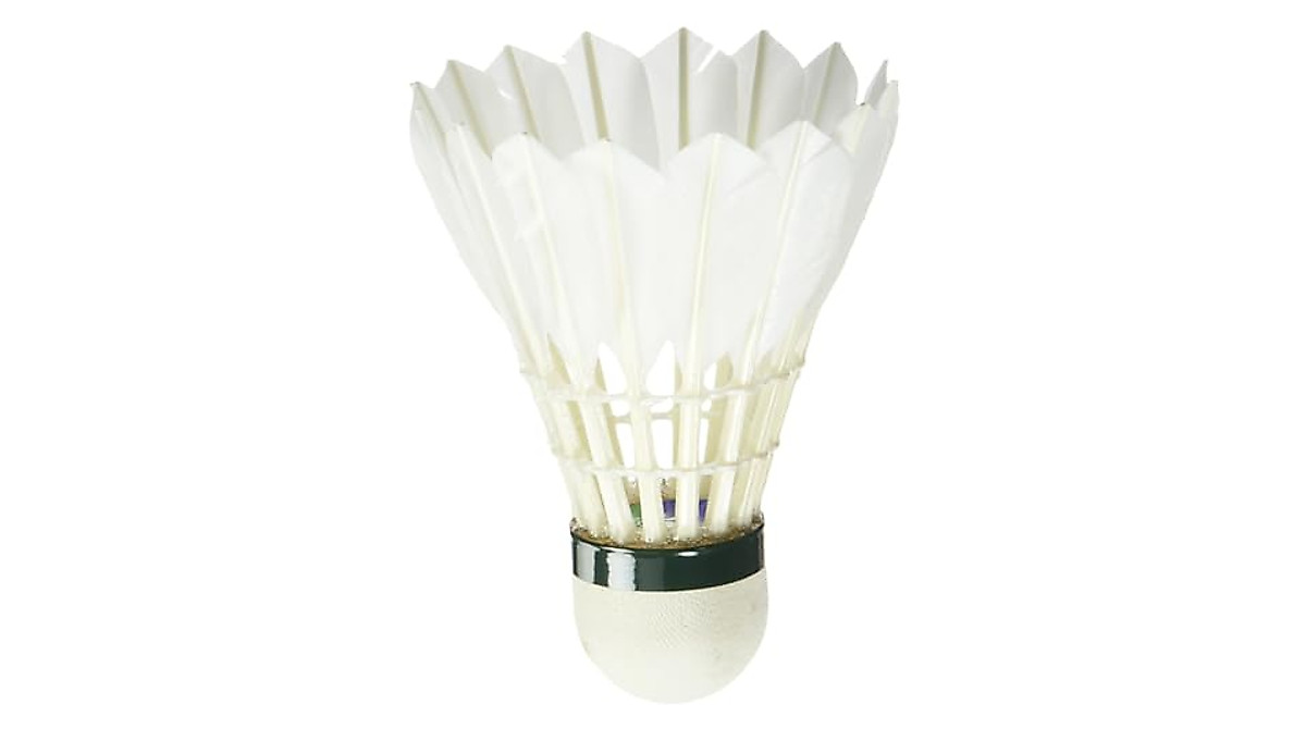 Buy YONEX AS-20 Shuttlecocks - Precision Tournament Play