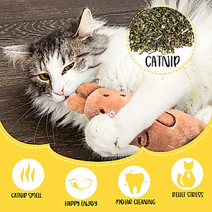 Jadive 50 Pcs Catnip Toys for Indoor Cat Plush Cats Toys Bulk Interactive Catnip Filled Kitten Toys Cat Chew Toy Pet Cats Supplies
