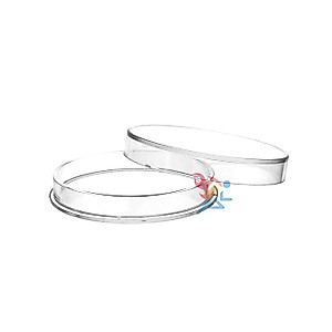 OnFireGuy High Relief 39mm Direct Fit 2oz Queen's Beast & 2oz Biblical Series, Qty: 25