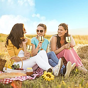 VERISA Stainless steel stemmed wine glasses,18oz Unbreakable Steel Wine glass, Shatterproof Metal wine Goblets for Outdoor, Picnic,Party, Gift Box Red wine 2 wine glasses (GOLD)