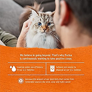 Purina Beyond Grain Free Natural Pate Wet Cat Food Variety Pack, Grain Free Poultry - (2 Packs of 12) 3 oz. Cans