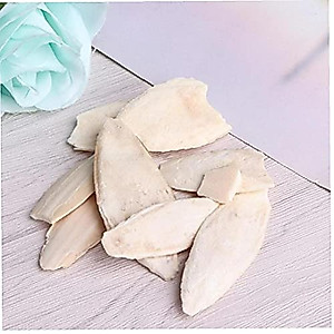 Pinicecore Natural Cuttlefish Bone for Reptiles, Cuttlebone Tortoises, Snails, Birds Food Calcium Pickstone Pet