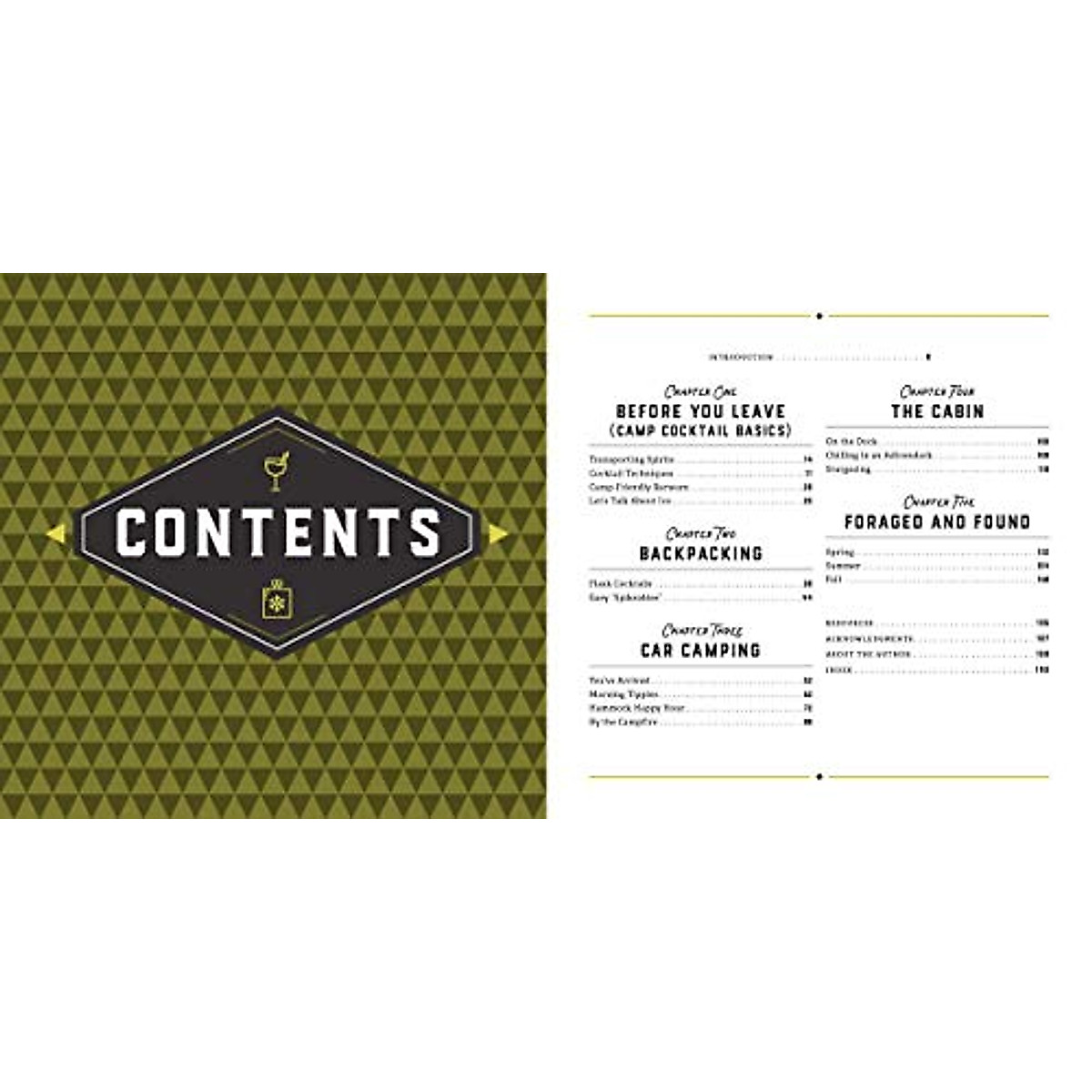 Camp Cocktails: Easy, Fun, and Delicious Drinks for the Great Outdoors (Great Outdoor Cooking)