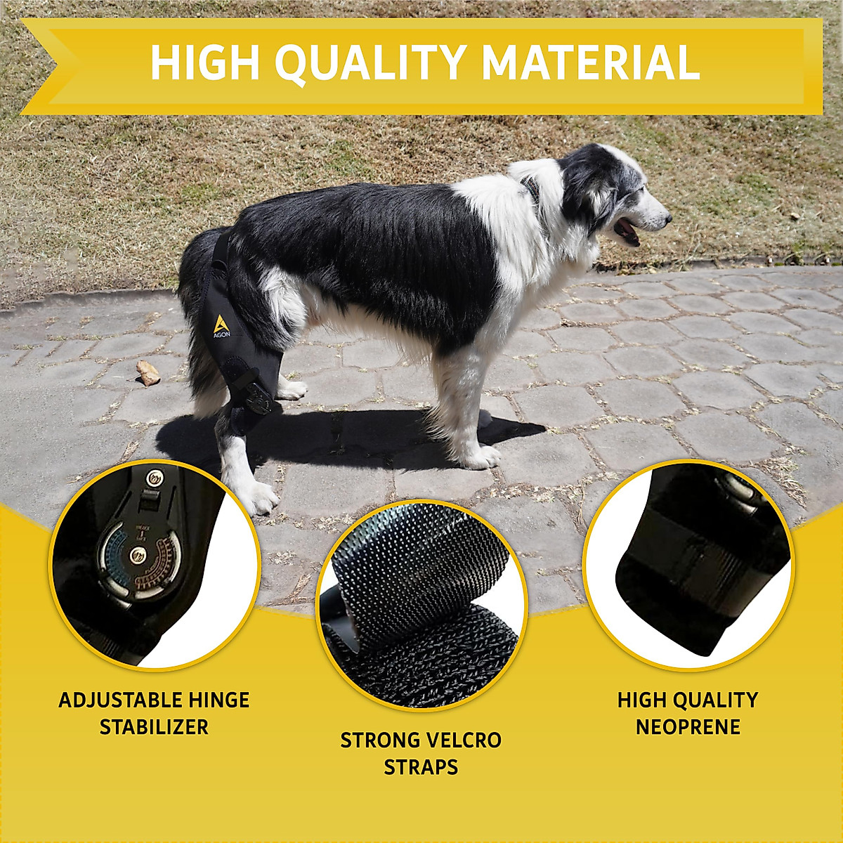 AGON Dog Knee Brace – Professional Knee Support Brace for Dogs with Adjustable Hinge Stabilizer – Premium Neoprene Hip Brace for Knee Support, Dog Recovery, and Joint Support (Right Leg, X-Large)
