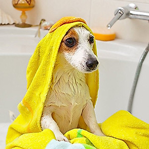 Vet's Best Medicated Oatmeal Shampoo for Dogs | Soothes Dog Dry Skin | Cleans, Moisturizes, and Conditions Skin and Coat | 16 Ounces