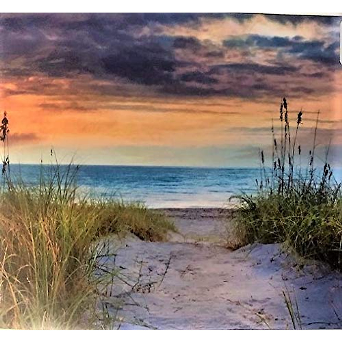 Aqua Seas at The Dunes Panel Cotton Fabric David Textiles AL 3848 Size 36 X 44 Inches