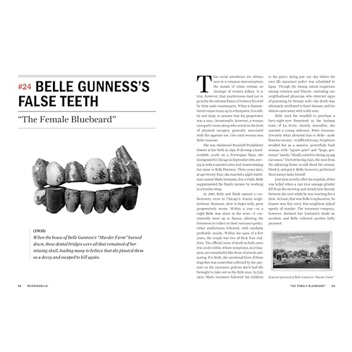 Murderabilia: A History of Crime in 100 Objects