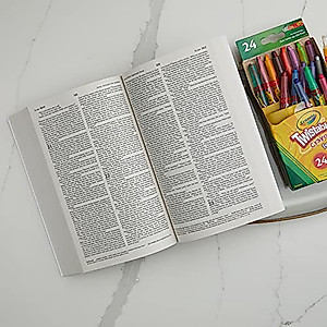 ICB, Gift and Award Bible, Softcover, Gray: International Children's Bible