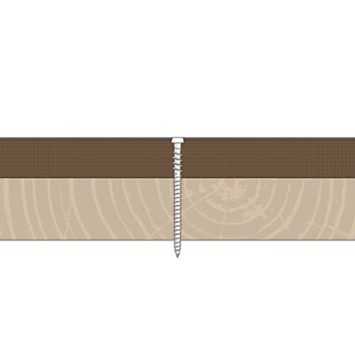 Generic Composite Decking Stainless Steel Wood Screw, 10x2-1/2In,Star Drive,Torx 20, Type 17 Slot Point,Wood Screw,1 Free Bit Included (#10X2-1/2, 350), SS316NC212350