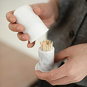 JIMEI Marble Toothpick Holder with Lid, Toothpick Dispenser Porcelain Cocktail Stick Box Home Living Room Cotton Swab Storage Tank