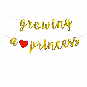 Growing A Princess Banner Baby Shower, Baby Sprinkle, a Girl Comes Pre-Strung Paper Gold Fancy