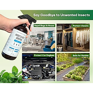 Insect & Pest Control Spray for Home and Kitchen with Peppermint Oil & Cedarwood Oil (16oz) - Kate's Home & Garden. Repels Ants, Spiders, Flies, Insects Indoor & Outdoor. Non-Toxic. Made in USA.
