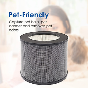 Flintar 2-Pack AP006 H13 True HEPA Replacement Filter, Compatible with TaoTronics TT-AP006 Air Purifier, 3-in-1 Pre-Filter, H13 Grade True HEPA and Activated Carbon Filter Set