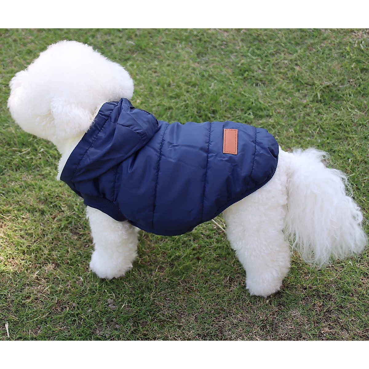Vecomfy Fleece Lining Extra Warm Dog Hoodie in Winter for Medium Dogs Jacket Pet Coats with Hooded,Blue L