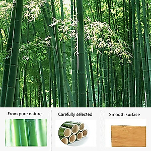 EYdoter Knife Block,Magnetic Knife holder,Bamboo knives Storage Holder stand