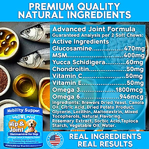 Well Loved Glucosamine for Dogs - Joint Supplement for Dogs, Made in USA, Vet Developed, Dog Joint Supplement, Glucosamine Chondroitin for Dogs, Advanced Hip and Joint Chews with MSM, Pain Relief, 120