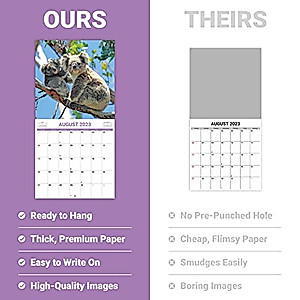 Super Cute 18 Month Baby Animals Wall Calendar 2023-2024. Big 12x12 Inch Novelty Gift With Puppies, Kittens and More. Great for Men, Women or Kids. Perfect Stocking Stuffer or Decor for Animal Lovers.