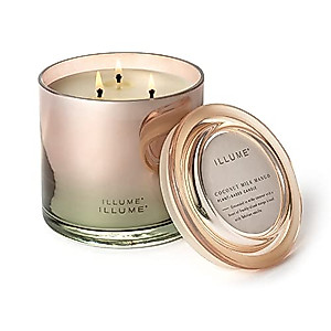Illume Beautifully Done Essentials Coconut Milk Mango Statement Glass Scented Soy Candle