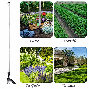 Weeder Stand Up Weed Puller Tool with Long Handle 4-Claw Steel Head Design Weeding Tool Easily Remove Without Bending, Kneeling, or Pulling for Vegetable Gardening Backyard Farm Weeding