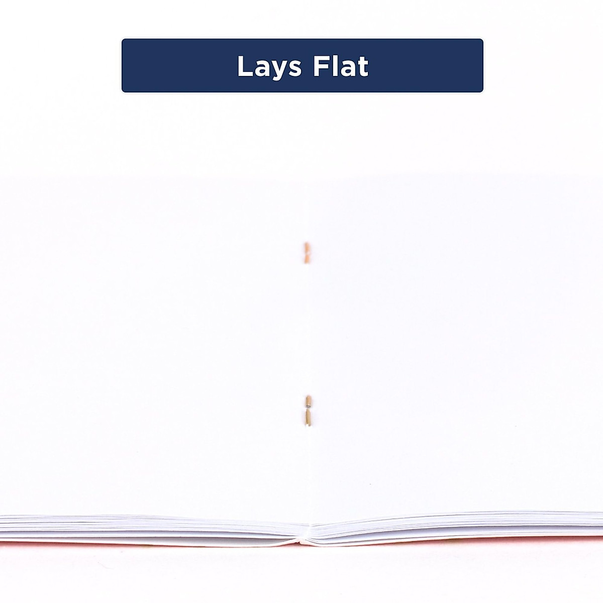 Cambridge 2023-2025 Academic Pocket Calendar, 2 Year Monthly Planner, 3-1/2" x 6-1/4", Pocket Size, WorkStyle, Flexible Cover, Pink (1606-021A-27)