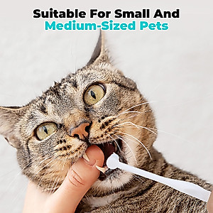 LLOUSSAK 6Pcs Puppy Toothbrush Kit, Soft Mini Head Kitten Toothbrush, Pet Teeth Cleaning Tooth Brush with Curved Handle, Dog Toothbrush Small Breed Deep Brushing Toothbrushes for Dogs Cat Dental Care