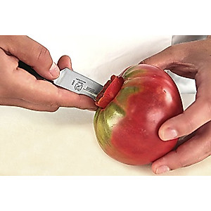 Mercer Culinary Genesis 6-Piece Magnetic Board Knife Set, 11 3/8 x 9, 11 1/2 inch high, Stainless Steel