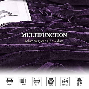 NANPIPER Sherpa Blanket Twin Thick Warm Blanket for Winter Bed Super Soft Fuzzy Flannel Fleece/Wool like Reversible Velvet Plush Blanket (Purple Twin Size 60"x80")