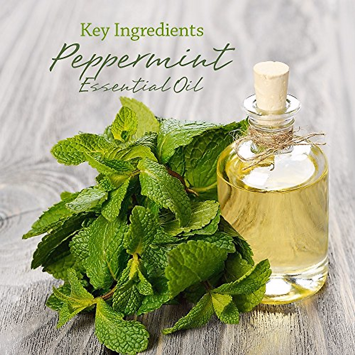 I & Candle Aromatherapy Soy Wax Scented Candles (Rosemary & Mint)