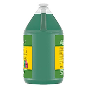 General Hydroponics FloraGro 2-1-6, Use With FloraMicro & FloraBloom, Provides Nutrients For Structural & Foliar Growth, Ideal For Hydroponics, 1-Gallon
