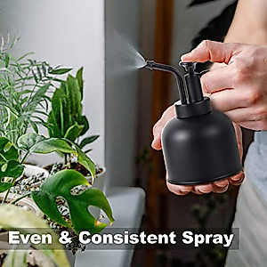Plant Mister Spray Bottle, Metal Stainless Steel Plant Sprayer Mister, Small Watering Can Plant Spritzer with Top Pump for Indoor House Air Plants Succulents Outdoor Garden Decorative(Matte Black)