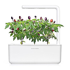 Click and Grow Smart Garden Purple Chili Plant Pods, 3-Pack