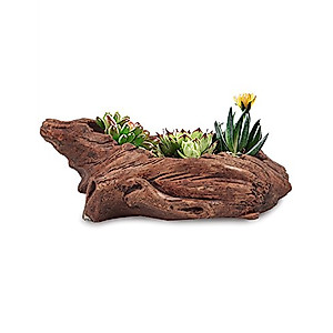 Dahlia Driftwood Stump Log Concrete Planter/Succulent Pot/Plant Pot, 7.9L x 4.3W
