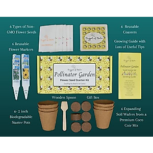Nuggets of Nectar Pollinator Garden Flower Seed Starter Kit - Grow 6 Types of Wildflower Seeds Including Cosmos, Calendula, Bee Balm, Bachelor Button, Calliopsis and Black Eyed Susan Seeds
