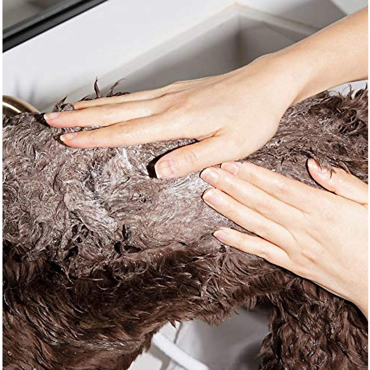 OUAI Fur Bébé Pet Shampoo, Mercer Street Scent, 16 Fl Oz