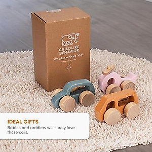 Childlike Behavior Wooden Car for Toddler - Wood Push Truck Vehicle - Montessori Inspired Wooden Rattle Teething toys - Baby Wood Cars for Kids, Boys, & Girls
