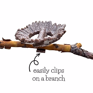 Quackups 2.6" Hummingbird Nesting Pods™, 2-Pk with Clips to Easily Attached on Branch for Outdoor Patio Garden Bird House