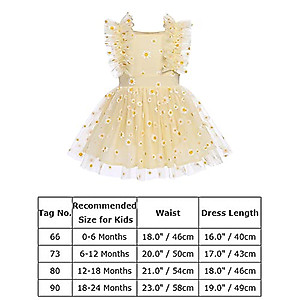 Newborn Infant Baby Girl Ruffle Tutu Romper Dress 1st 2nd Birthday Party Cake Smash Outfit Toddler Summer Flutter Sleeveless Floral Princess Tulle One-picece Baptism Pageant Dress Yellow Daisy 6-12M