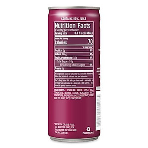 IZZE Blackberry Juice, No Sugar Added, 8.4 oz., 24/Carton