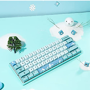 BOYI 60% Mechanical Gaming Keyboard,BOYI 61 Mini RGB Cherry MX Switch PBT Keycap 60% RGB Mechanical Gaming Keyboard (Ice Colors, Cherry MX Brown Switch)