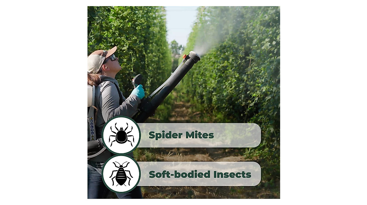 Clean Green Miticide Insecticide - Organic Botanical Pest Control (128 oz)