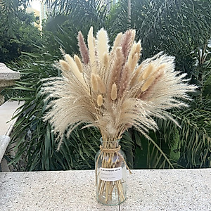 Pampas Grass 80 pcs 17.5 inch Natural Dried Pampas Grass - 15Pcs White Pampas & 15Pcs Brown Pampas & 30Pcs Reed Grass & 20Pcs Bunny Tail Grass,Fluffy Dried Flowers for Home Decor Wedding Boho Decor…