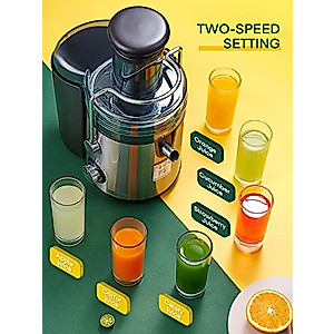 Juicer Machines, FOHERE 1000W Juicer Whole Fruit and Vegetables, Quick Juicing Easy to Clean, 75MM Large Feed Chute, Dual Speed Setting and Non-Slip Feet, Silver