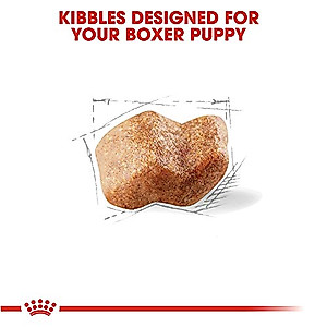 Royal Canin Breed Health Nutrition Boxer Puppy Dry Dog Food, 30 lb