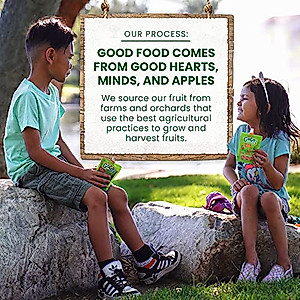 GoGo squeeZ Fruit on the Go Variety Pack, Apple, Peach & Gimme Five!, 3.2 oz (Pack of 20), Unsweetened Fruit Snacks for Kids, Gluten Free, Nut Free and Dairy Free, Recloseable Cap, BPA Free Pouches