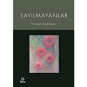 Sayilmayanlar